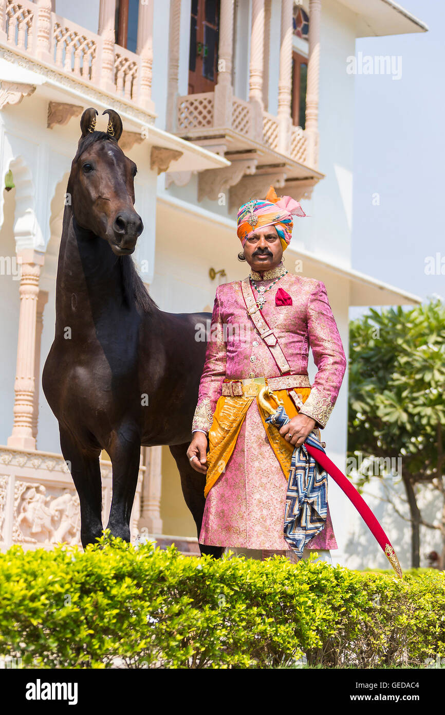 Marwari Horse. Man in traditional attire standing next to a bay ...