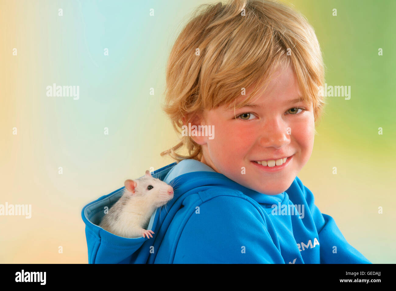 Boy pet rat hi-res stock photography and images - Alamy