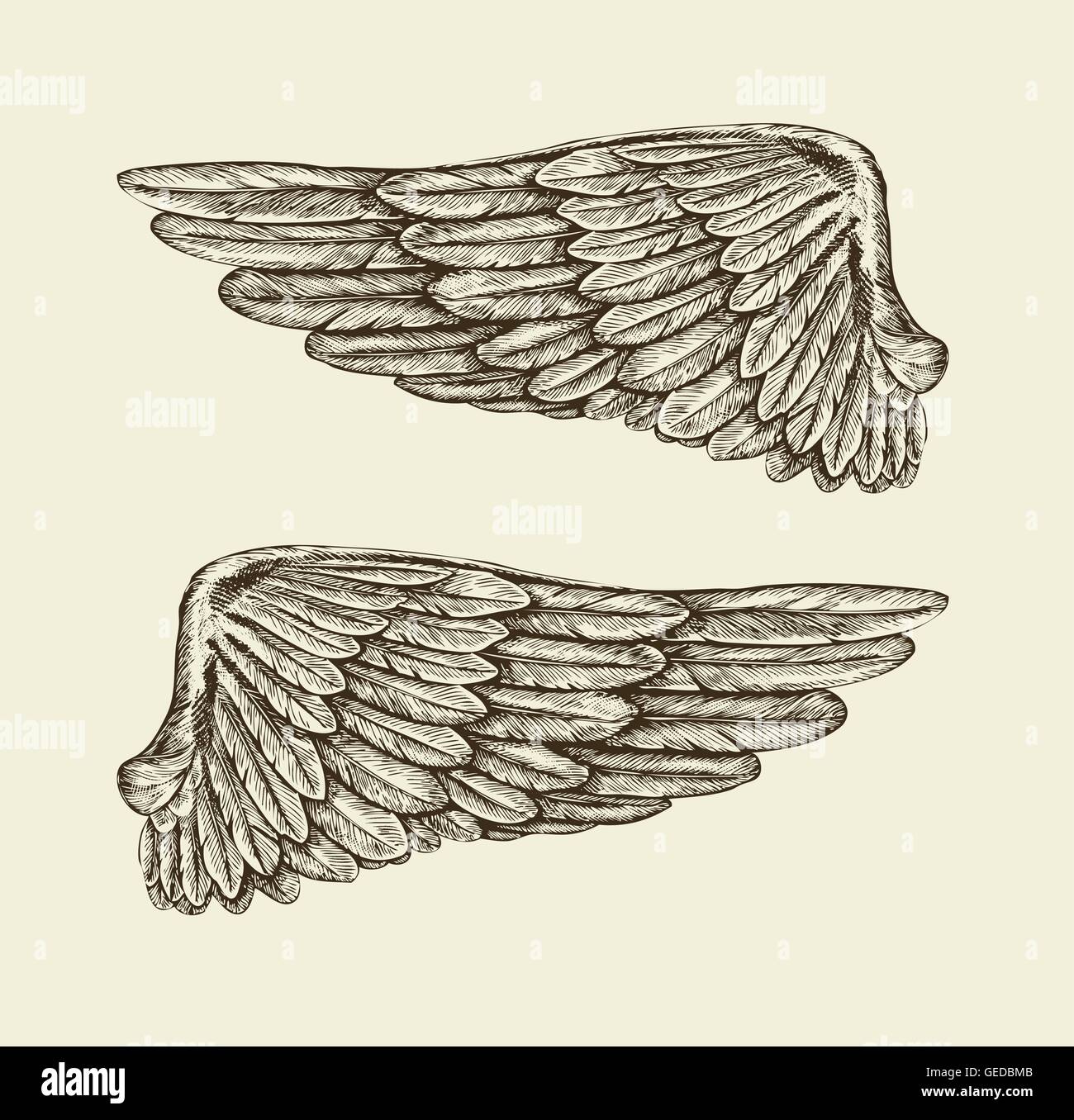 Hand drawn vintage wings. Sketch vector illustration Stock Vector Image ...