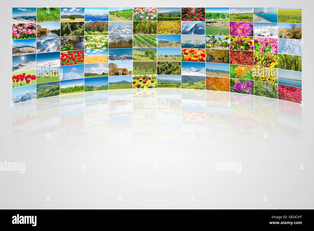 Collage of many nature photos Stock Photo - Alamy