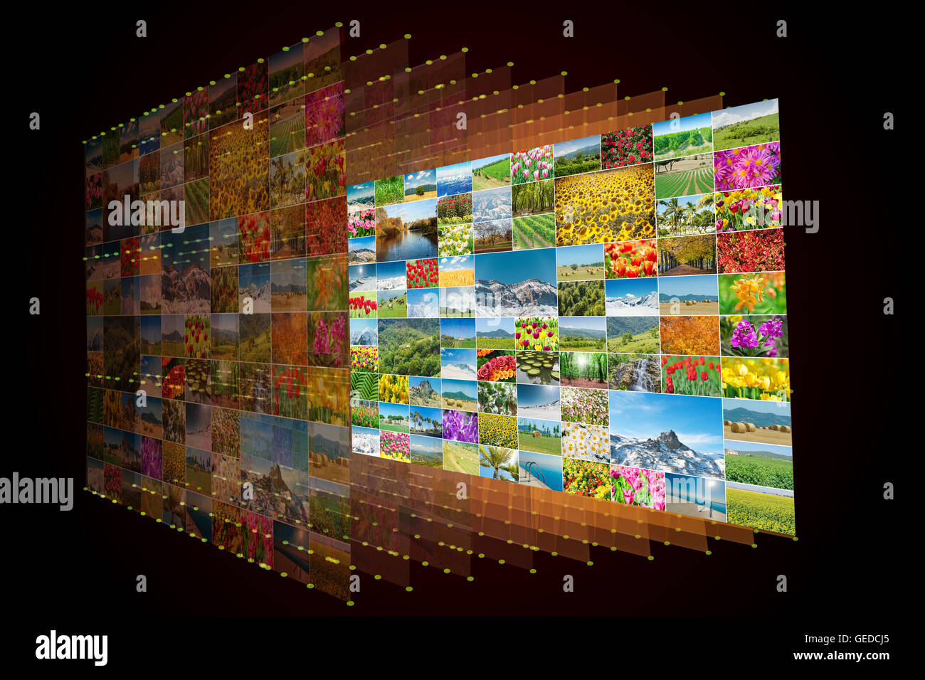 Collage of many nature photos Stock Photo - Alamy