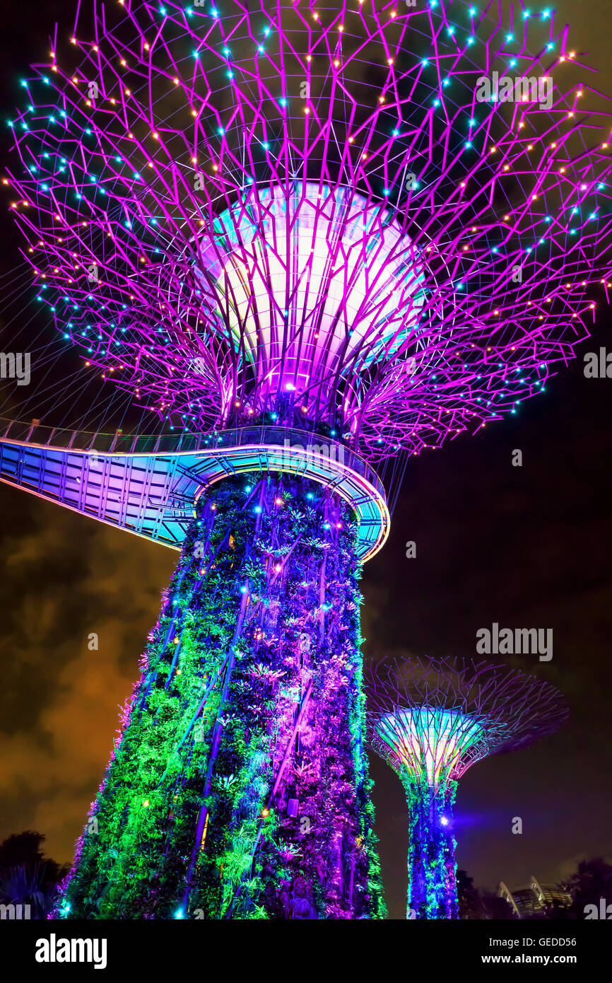 Illuminated Supertrees Gardens Bay In High Resolution Stock Photography ...