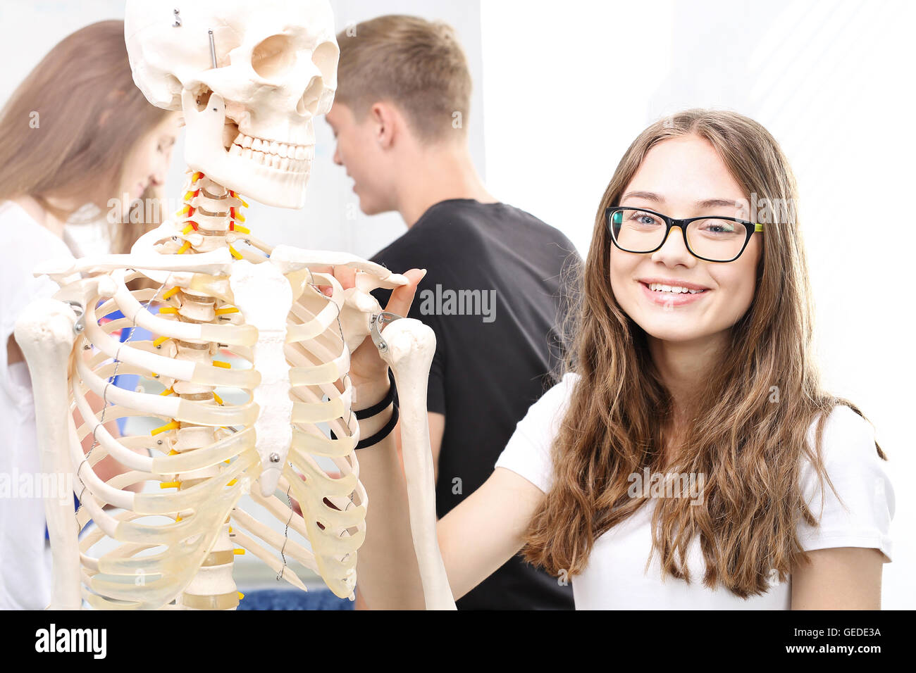 Skeleton, anatomy students in class Stock Photo - Alamy