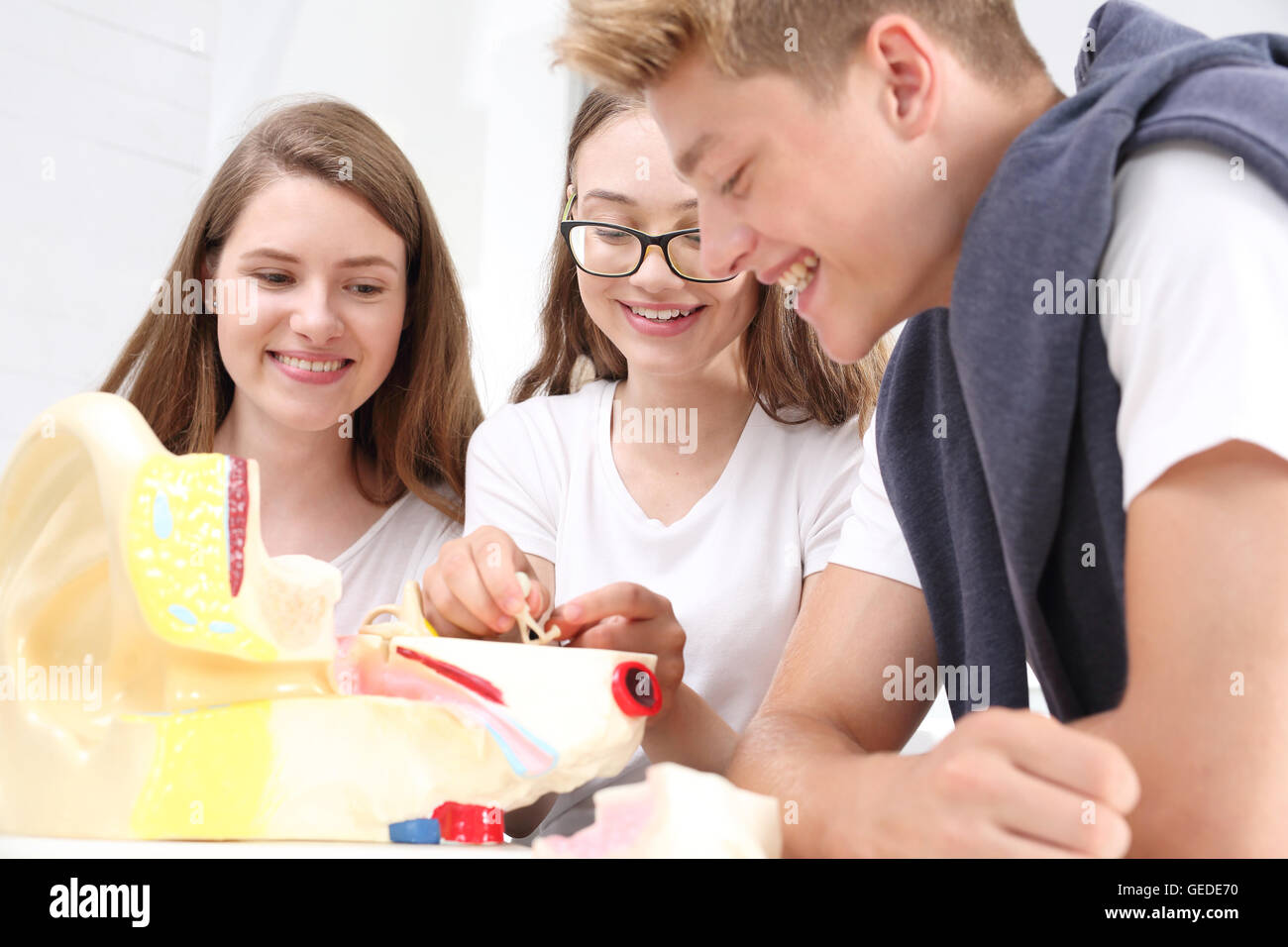 Teenagers on the biology lesson Stock Photo - Alamy