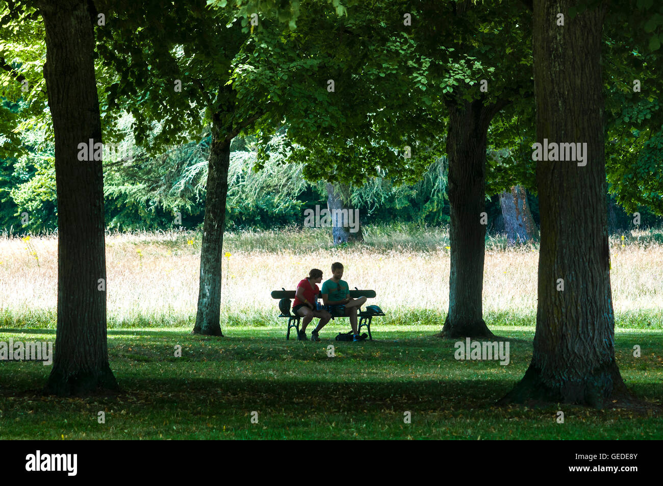 Picnic Under Trees Stock Photos & Picnic Under Trees Stock Images - Alamy