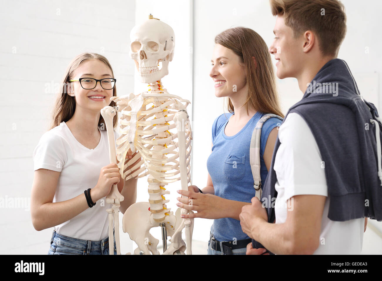 Cardiac skeleton hi-res stock photography and images - Alamy
