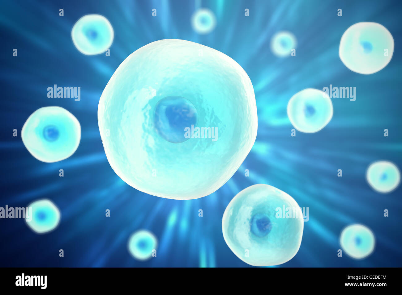 Human cell, animal , science background. 3d illustration Stock Photo ...