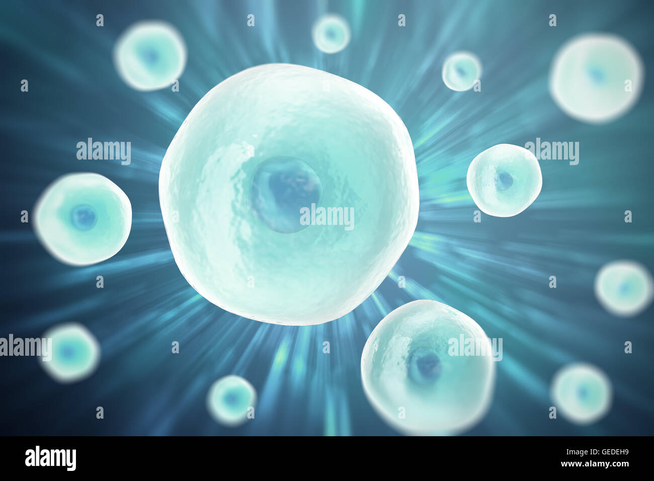 Human cell, animal , science background. 3d illustration Stock Photo ...