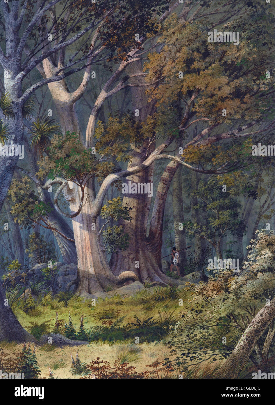 Hone heke hi-res stock photography and images - Alamy