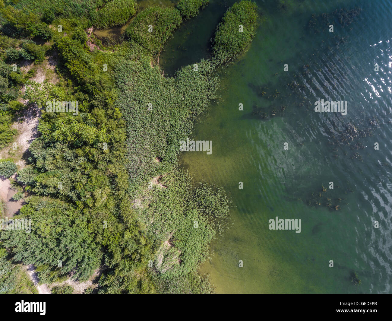 Summer time lake and green forest, in Poland lanscape. View from above ...