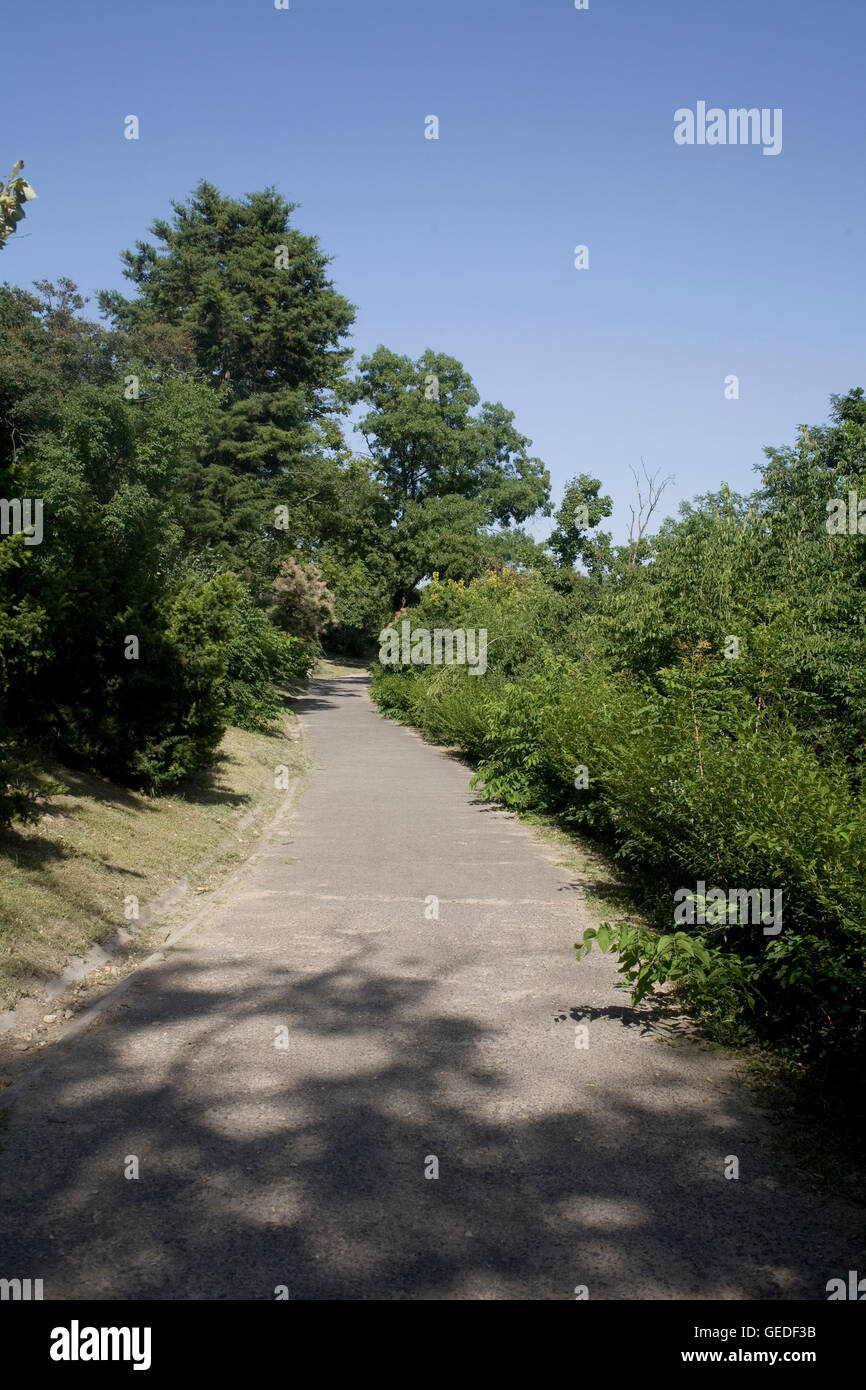 Empty pathway through our park hi-res stock photography and images - Alamy