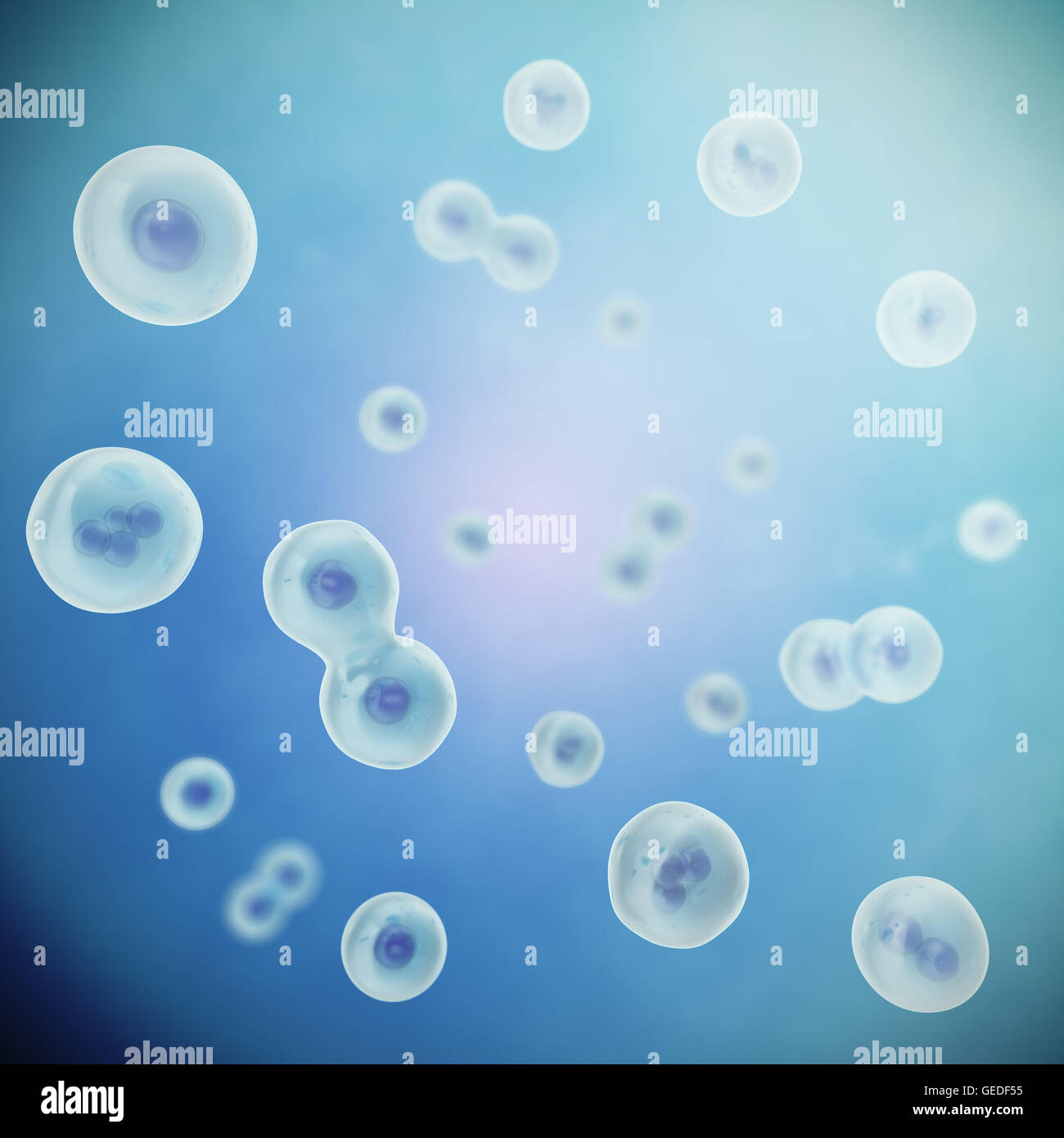 Human cell, animal . Medicine scientific, life and biology, molecular ...