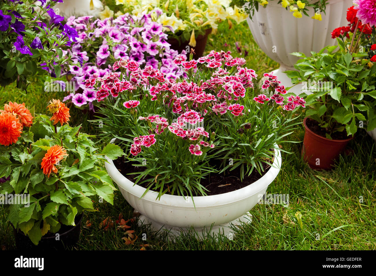 Different color pots hi-res stock photography and images - Alamy