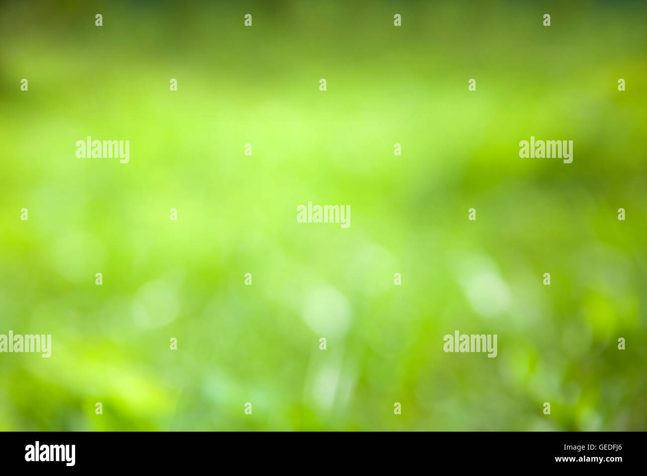 Blurred summer green hi-res stock photography and images - Alamy