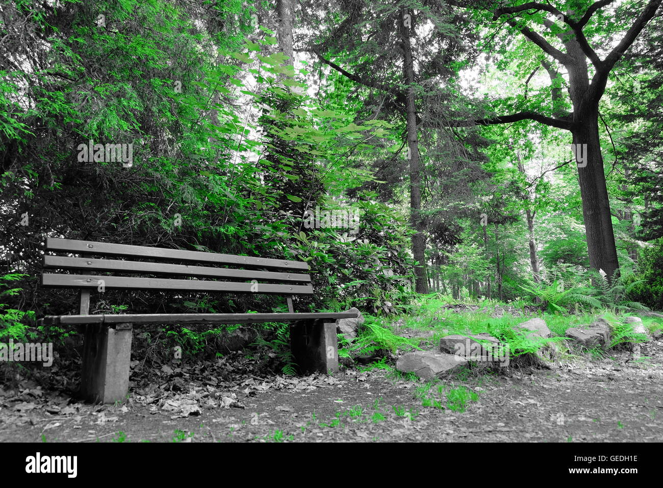 bank nature black and green Stock Photo - Alamy