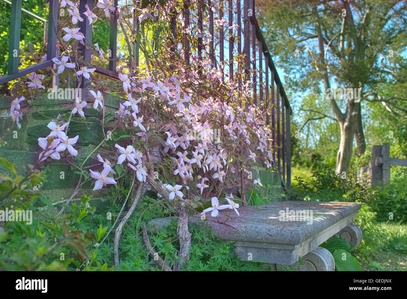 Pink flowers and stone bench Stock Photo - Alamy