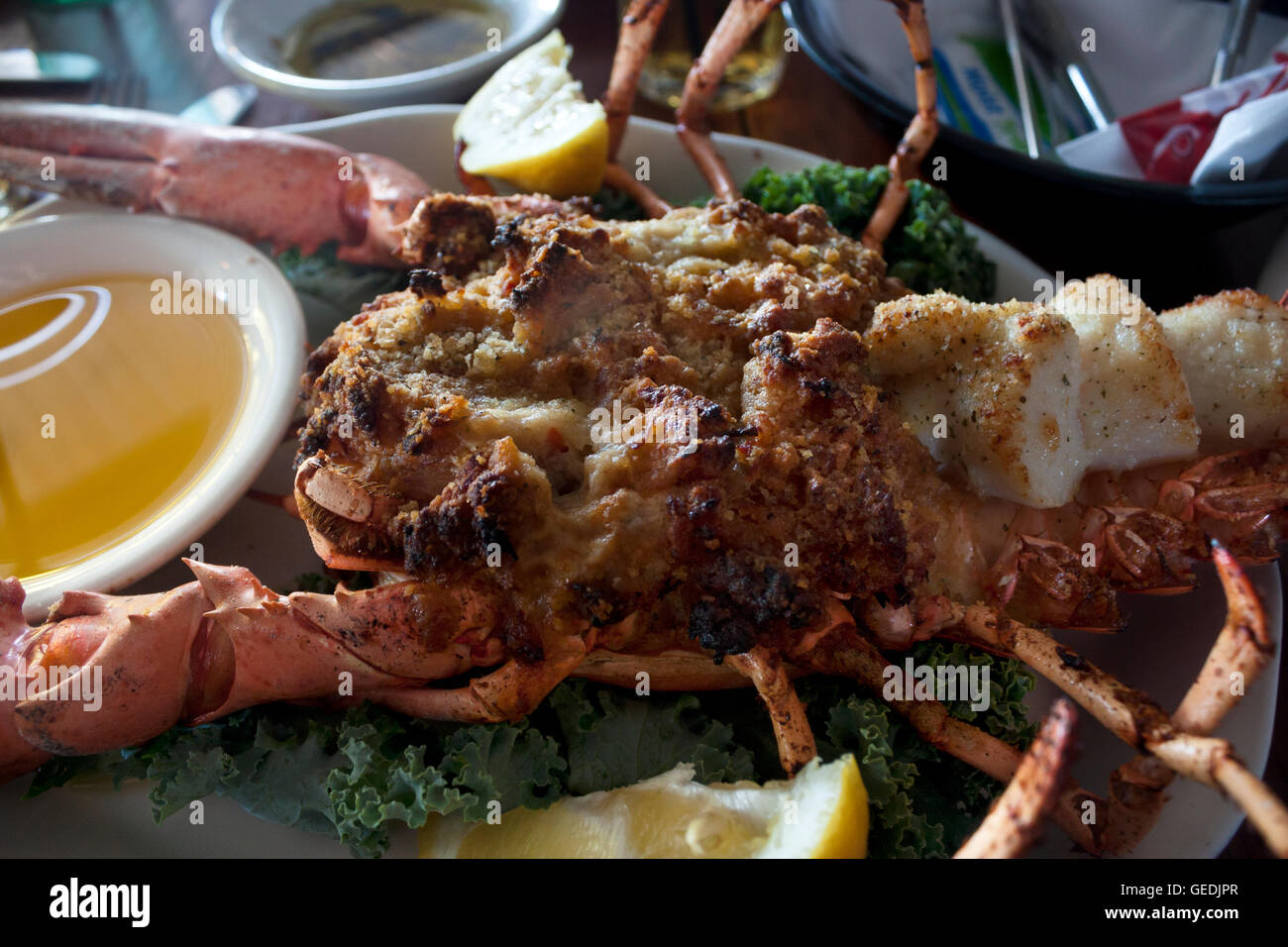 Baked stuffed lobster with butter and scallops in the tail Stock Photo ...