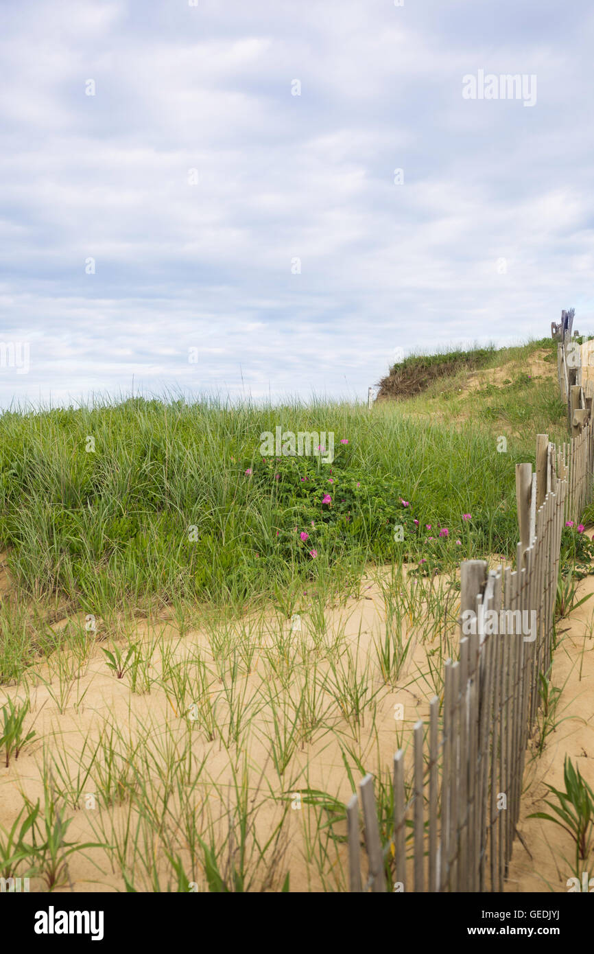 Marconi area in the National Seashore, Wellfleet, MA, Cape Cod Stock ...