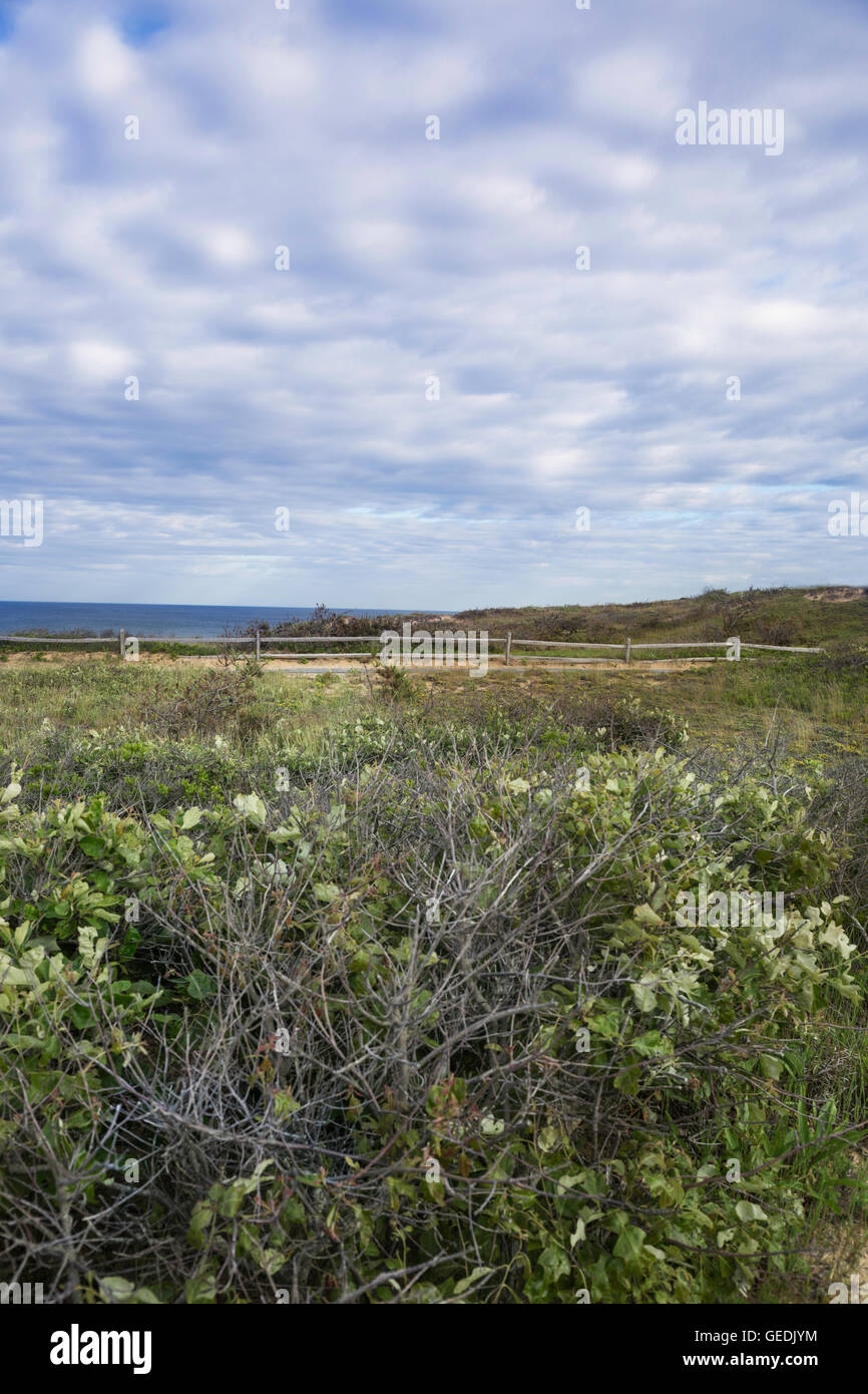 Marconi Beach area, Wellfleet MA, Cape Cod Stock Photo - Alamy