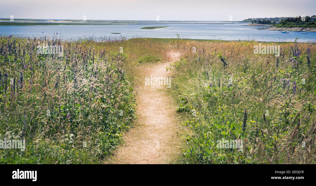 Fort hill cape cod hi-res stock photography and images - Alamy