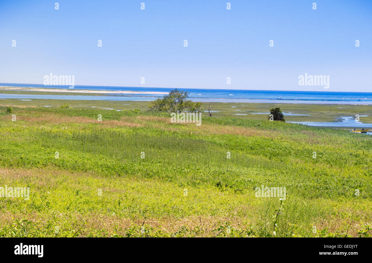 Marsh grass cape cod hi-res stock photography and images - Alamy
