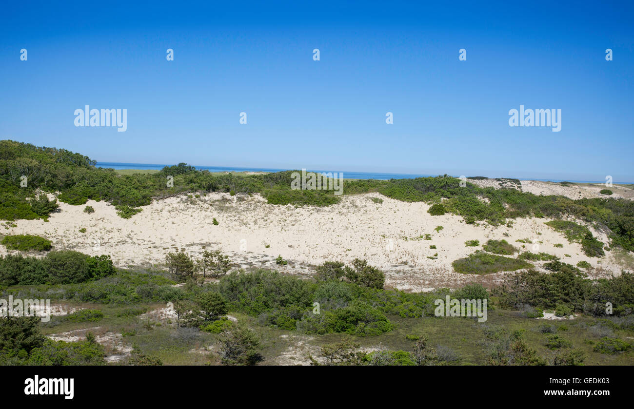 Protected dunes in the National Seashore at Provincetown, MA Cape Cod Stock Photo - Alamy