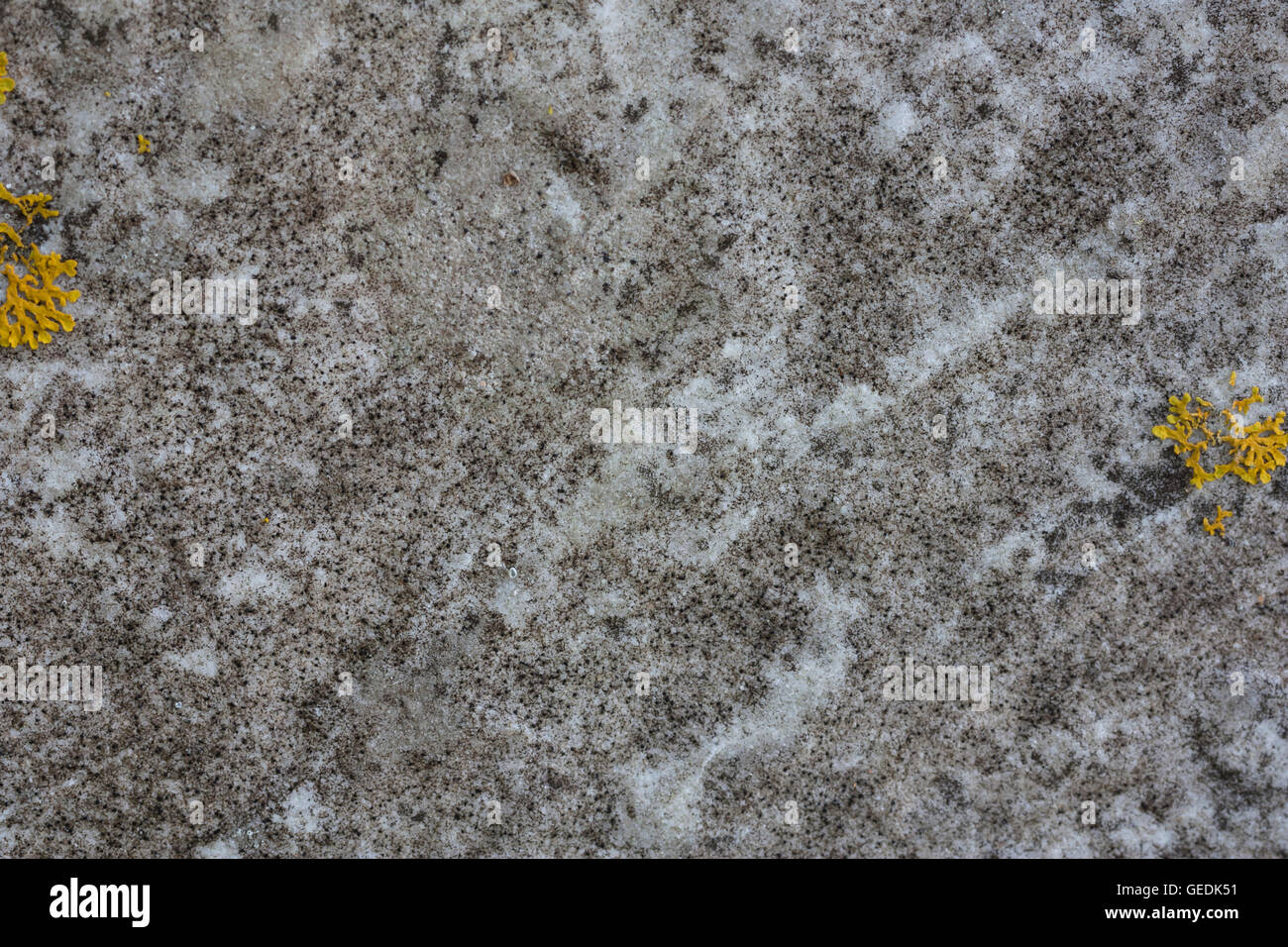 Green moss on gray marble gravestone Stock Photo - Alamy