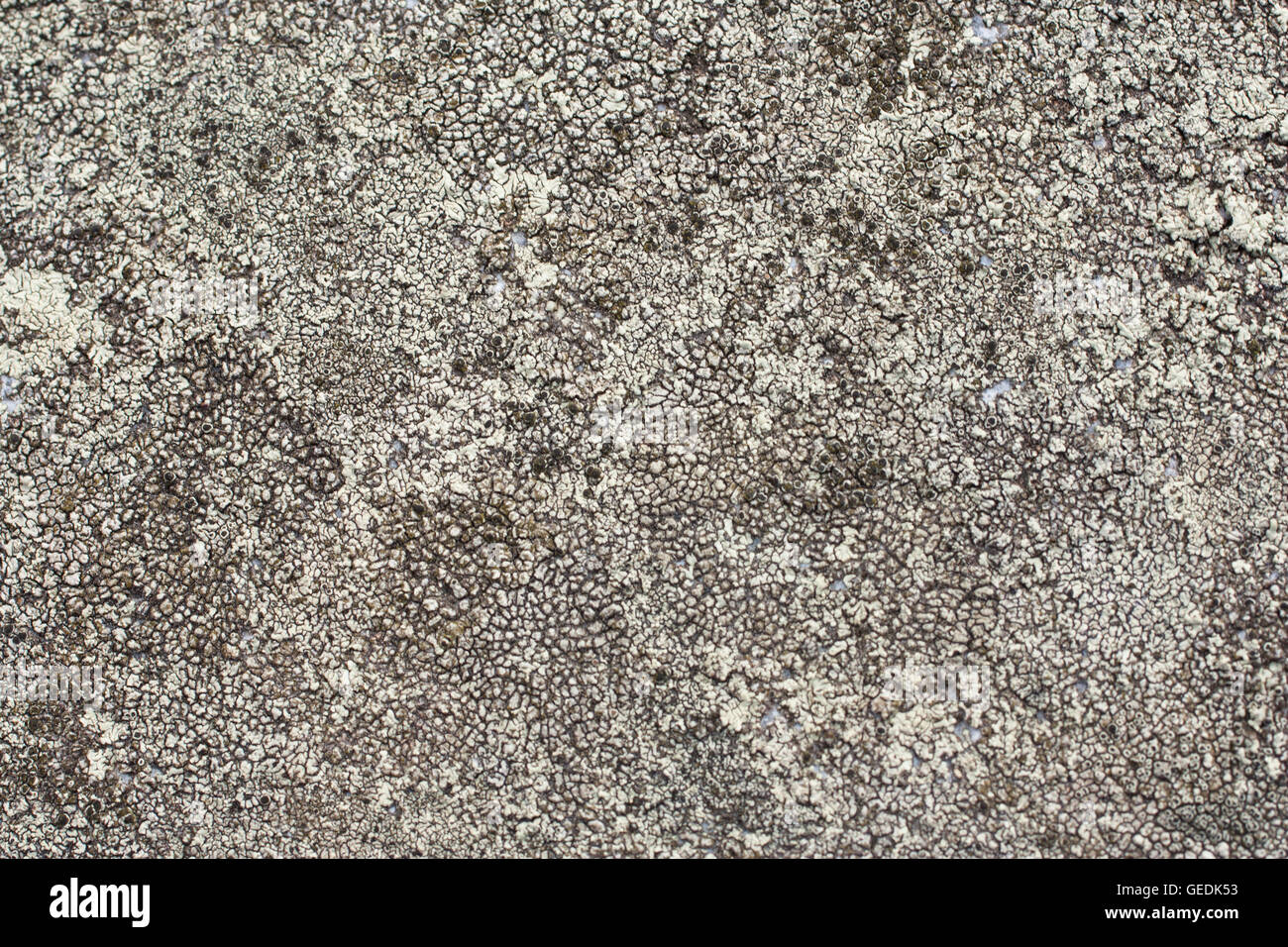Rough gray rock background texture Stock Photo - Alamy