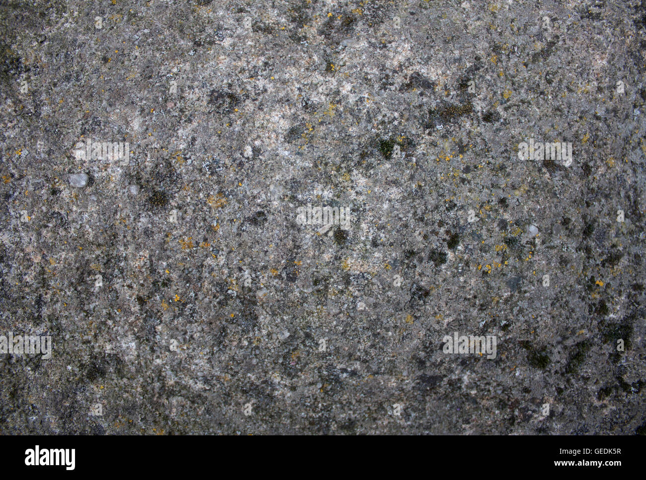 Rough gray rock background texture with moss Stock Photo - Alamy