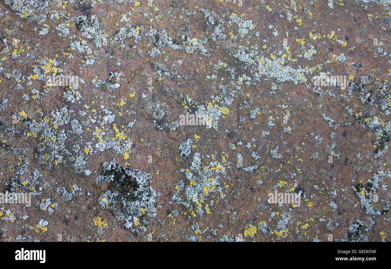 Rough gray rock background texture Stock Photo - Alamy