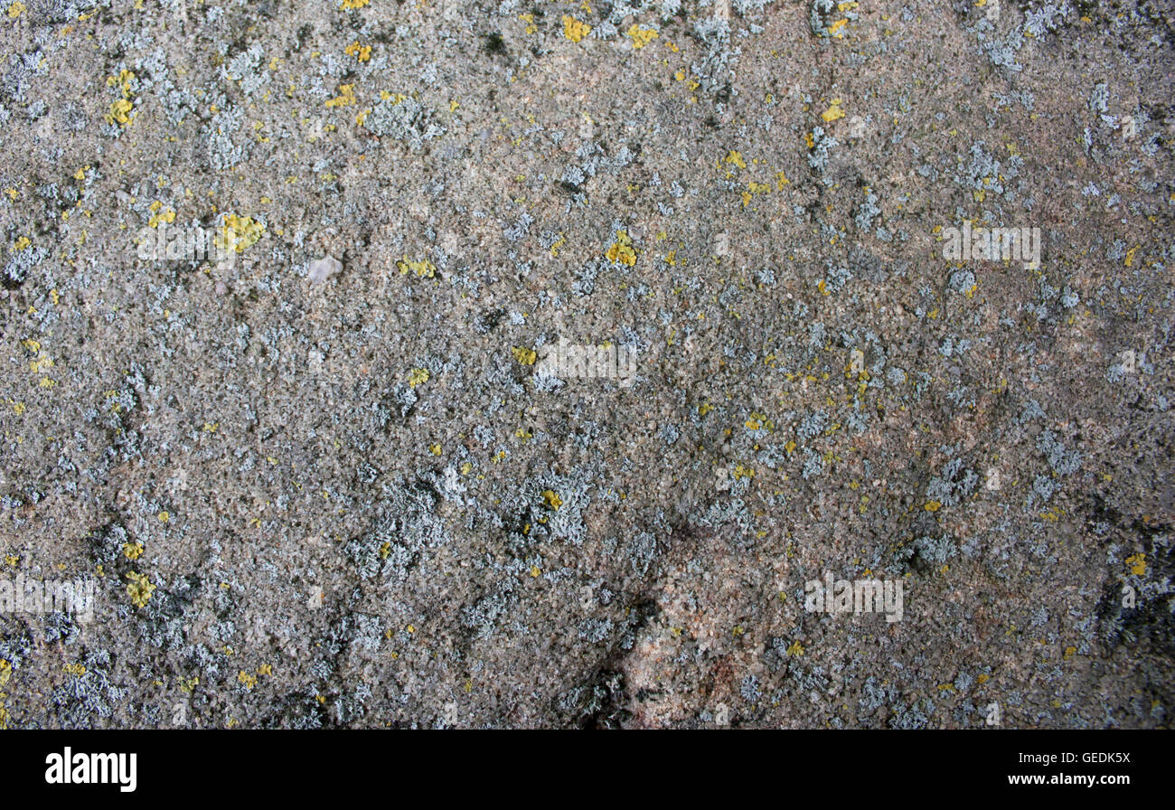 Rough gray rock background texture Stock Photo - Alamy