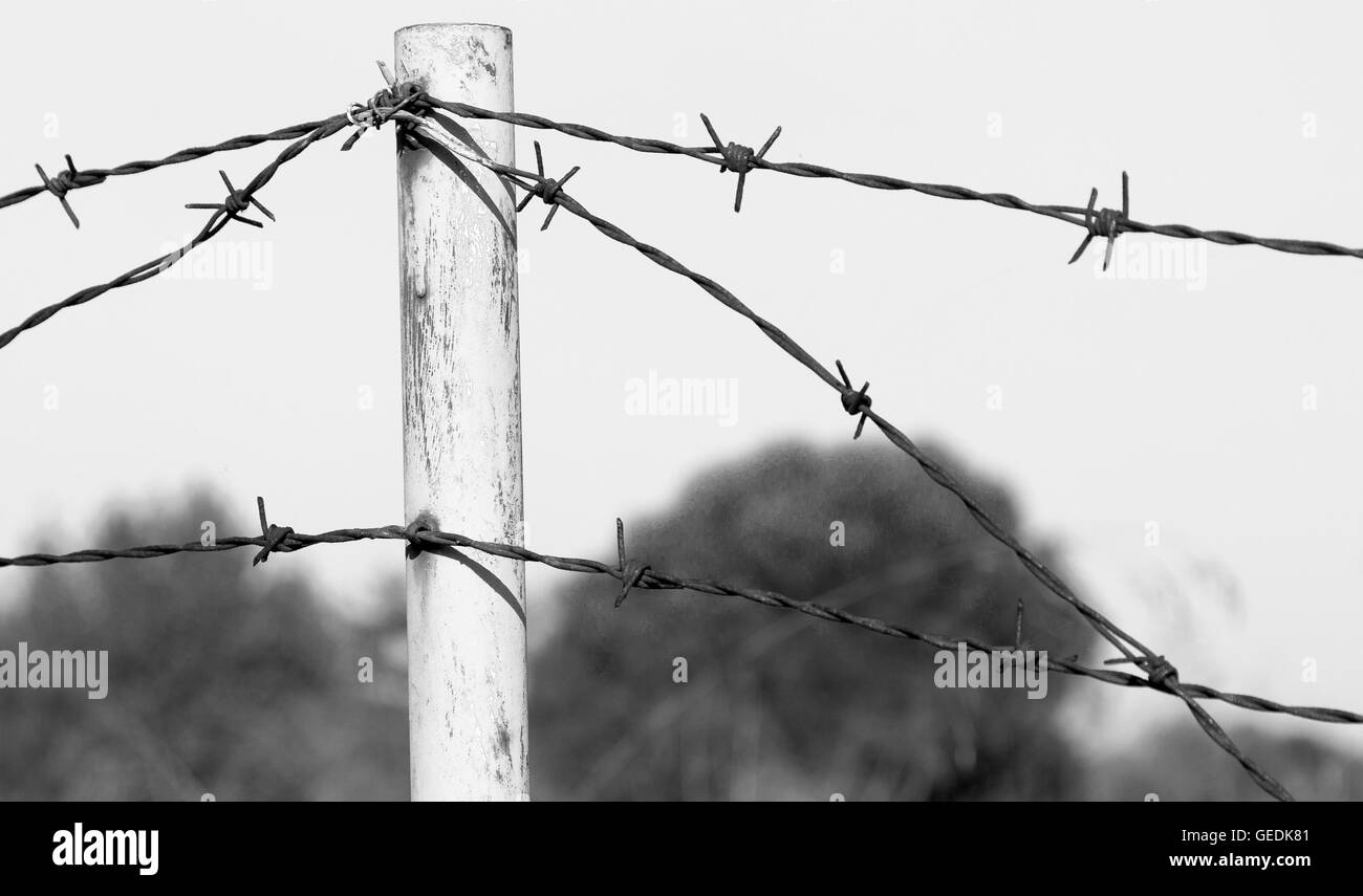 Black steel wire hi-res stock photography and images - Alamy