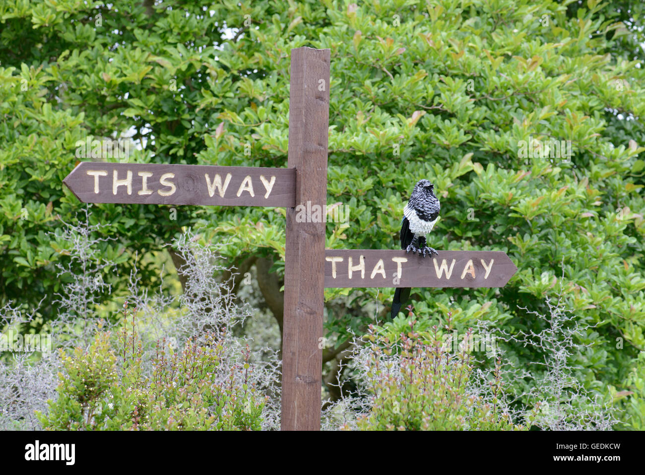 Sign Saying This Way That way Stock Photo - Alamy