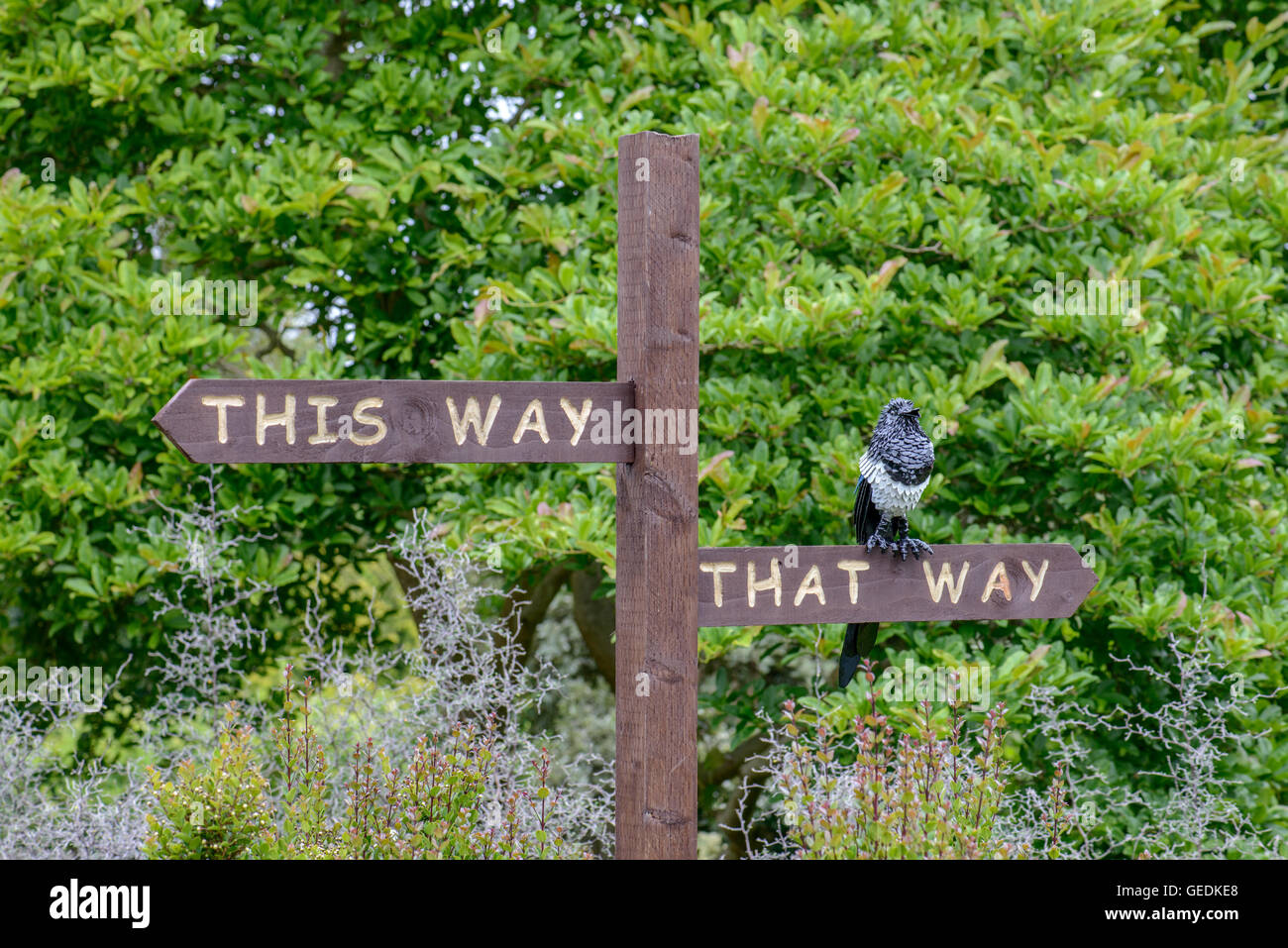 Sign Saying This Way That way Stock Photo - Alamy