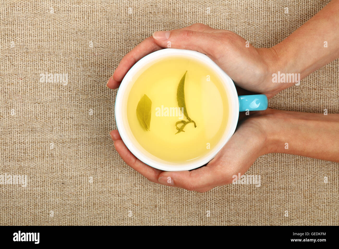 Two woman hands holding embracing big full blue cup of clear green tea ...