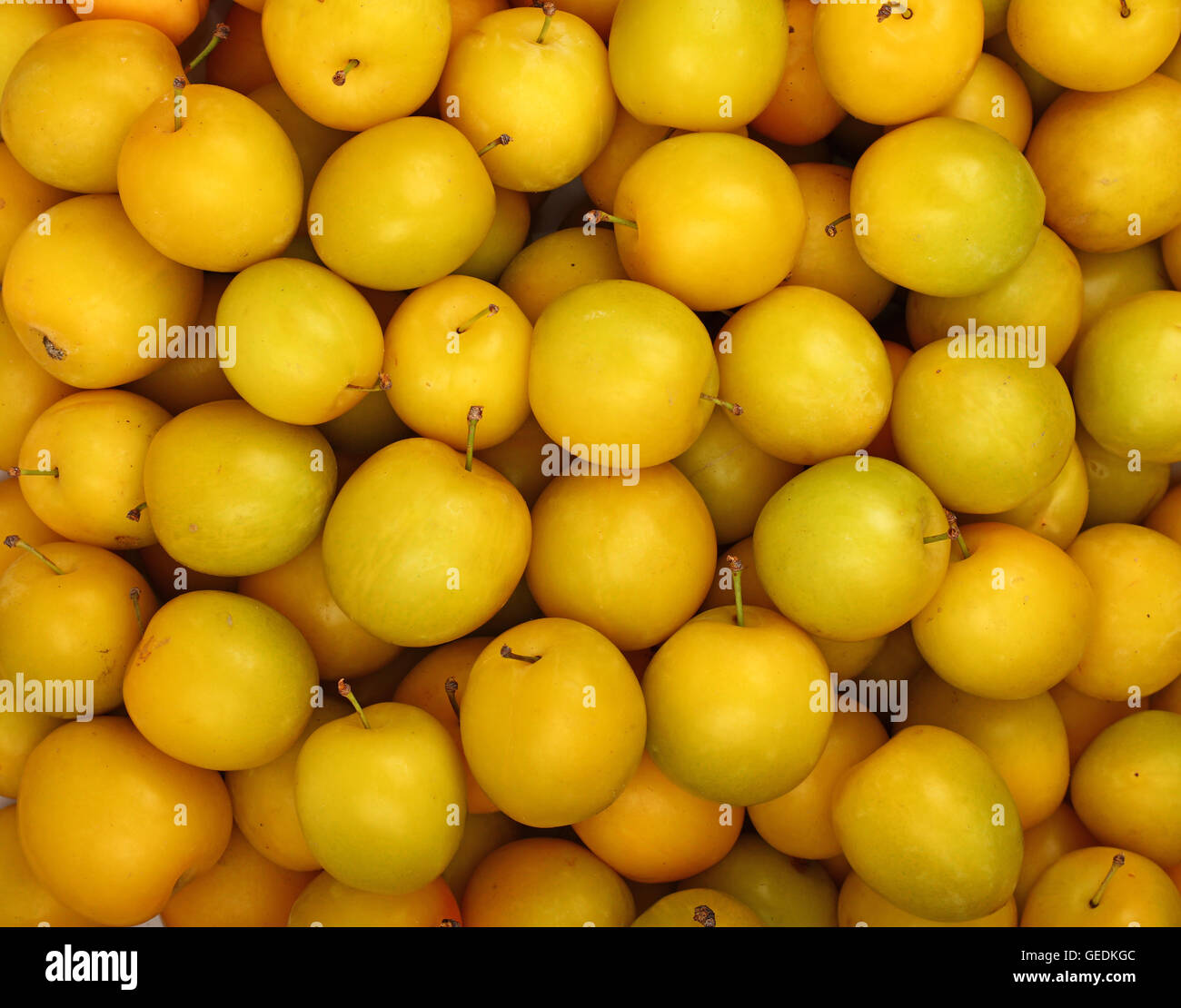 Fresh ripe plums texture hi-res stock photography and images - Alamy