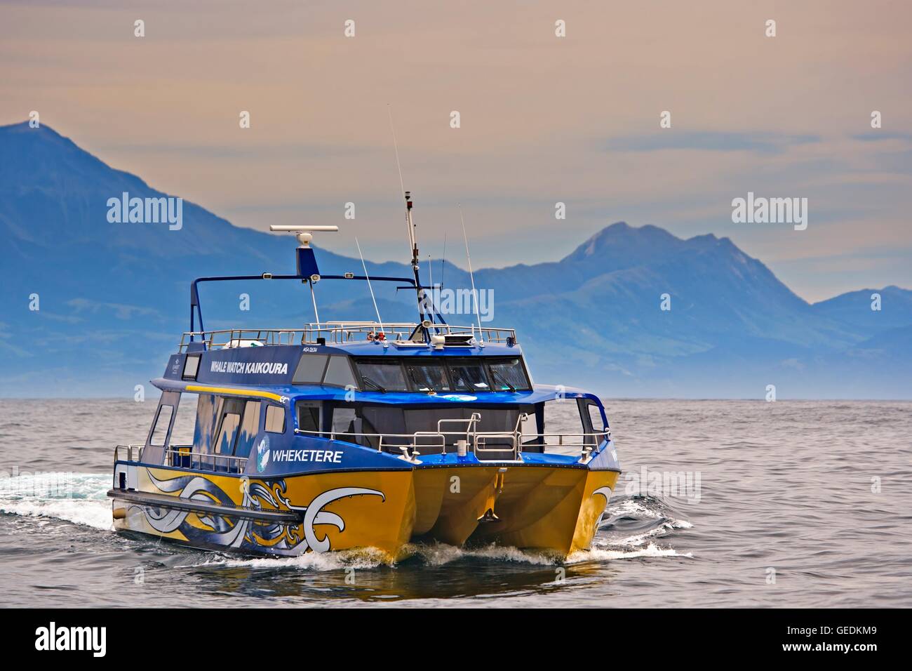 geography / travel, New Zealand, South Island, Kaikoura, Whale watching ...