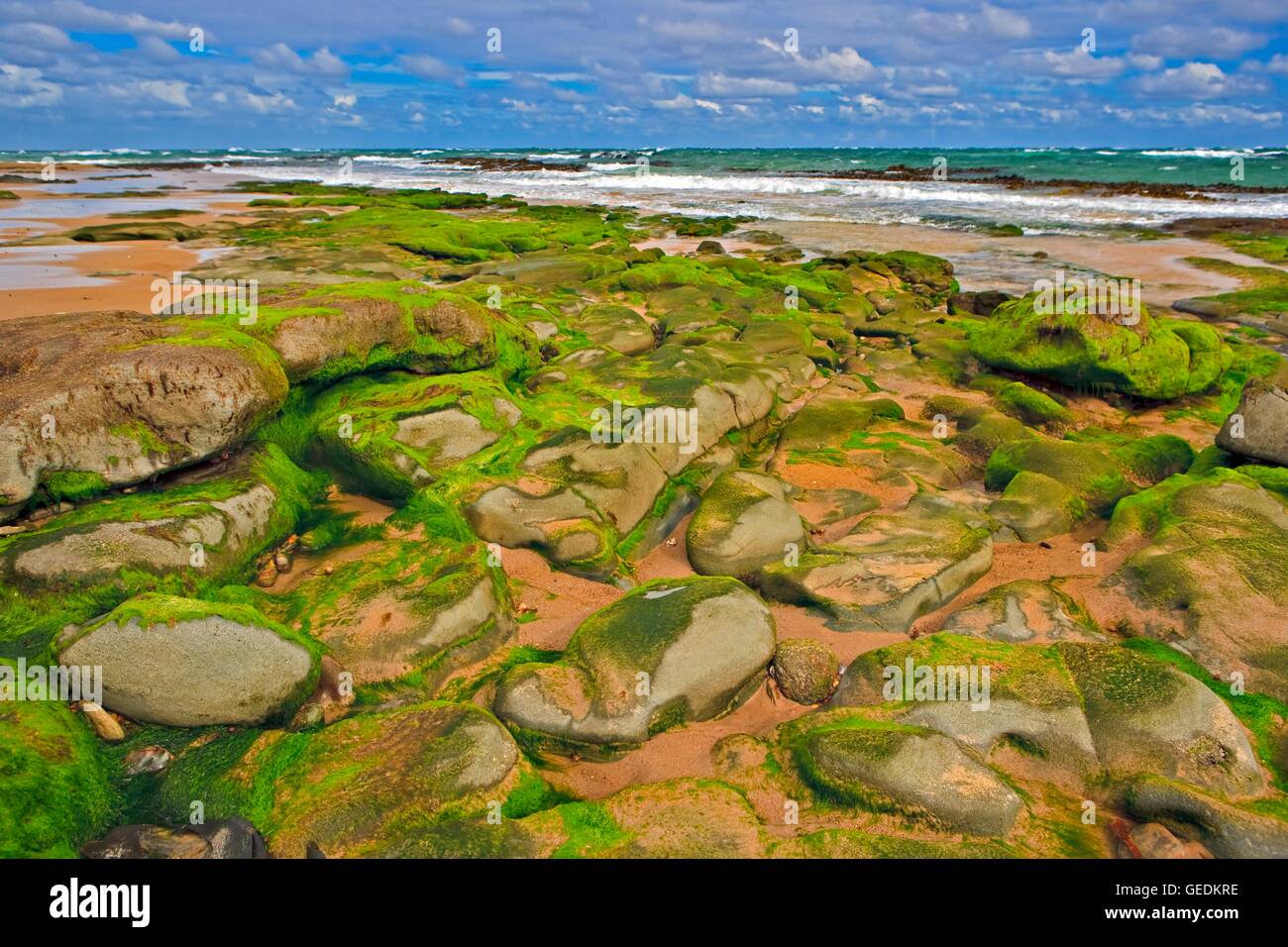 Waipapa point beach coastline along the catlins coastal heritage trail ...