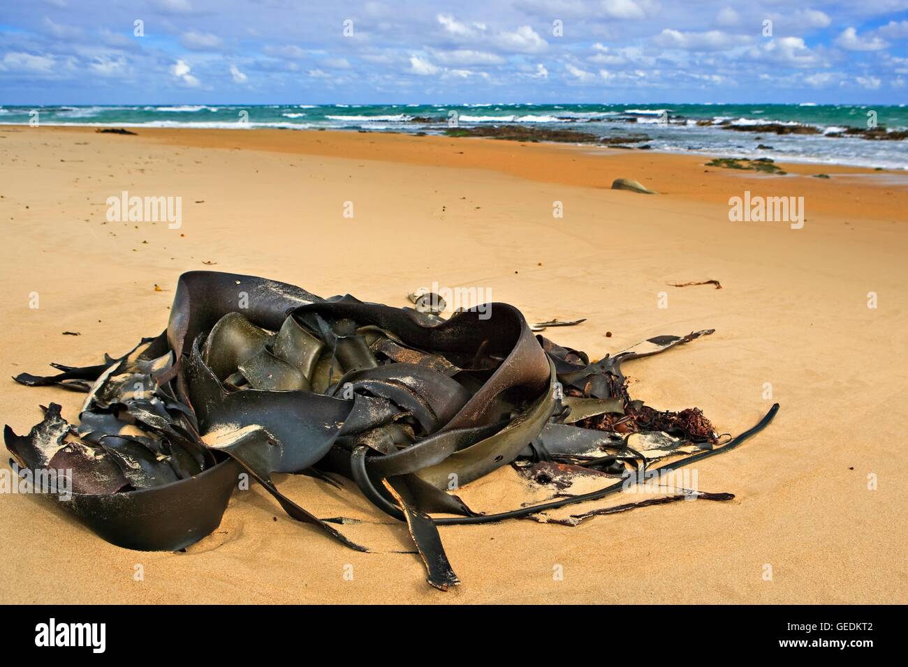 geography / travel, New Zealand, South Island, Waipapa Point Beach and ...