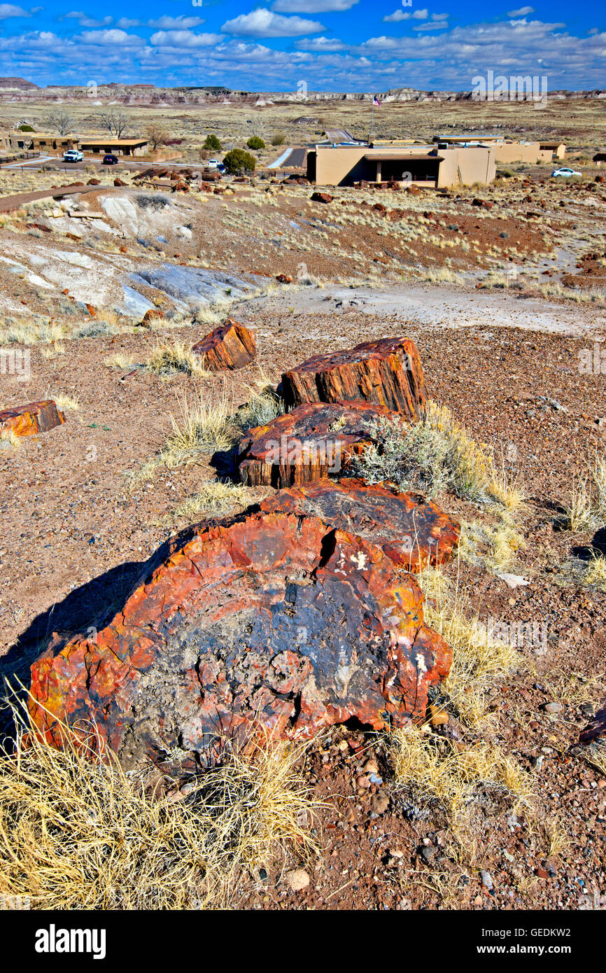 geography / travel, USA, Arizona, Woodruff, Petrified Forest National ...