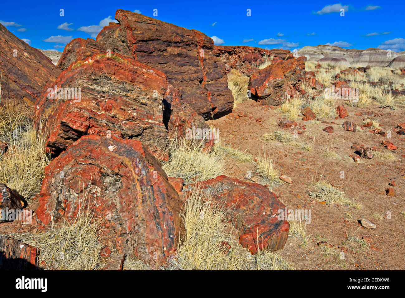 geography / travel, USA, Arizona, Woodruff, Petrified Forest National ...