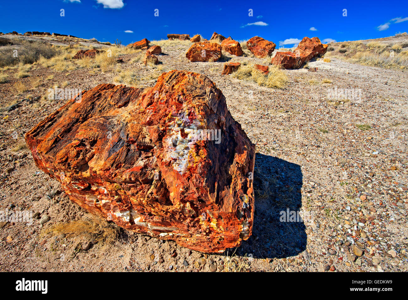 geography / travel, USA, Arizona, Woodruff, Petrified Forest National ...