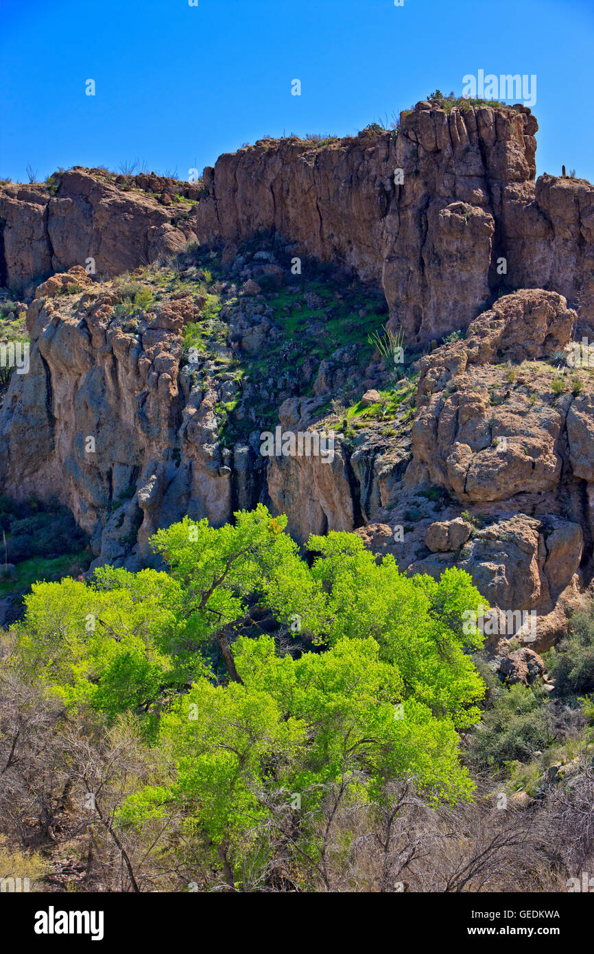 Highway 60 arizona hi-res stock photography and images - Alamy
