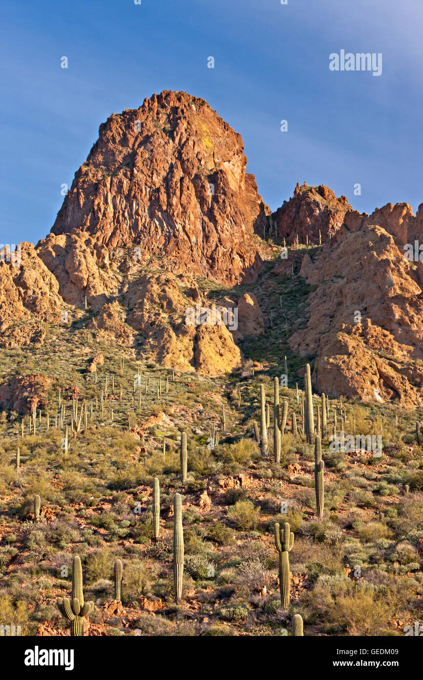 geography / travel, USA, Arizona, Phoenix, Impressions along the Apache ...