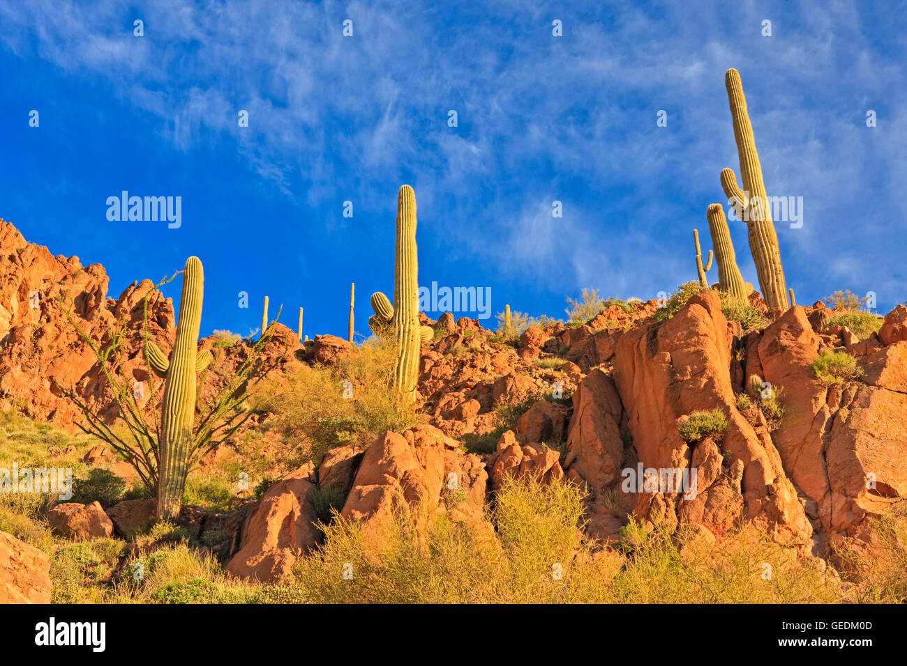 geography / travel, USA, Arizona, Phoenix, Impressions along the Apache ...
