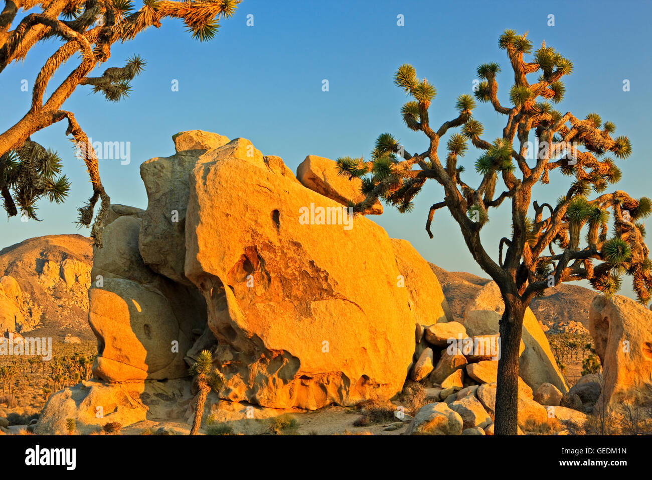 geography / travel, USA, California, Joshua Tree, Joshua Tree National ...