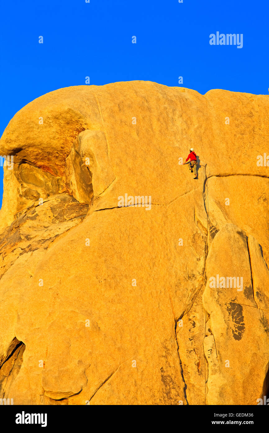 geography / travel, USA, California, Joshua Tree, Joshua Tree National ...