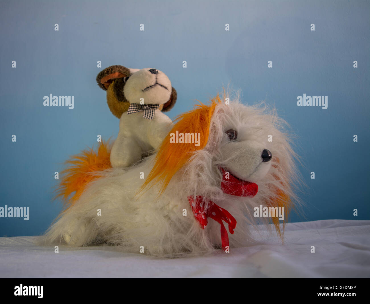 Two stuffed dogs together Stock Photo - Alamy