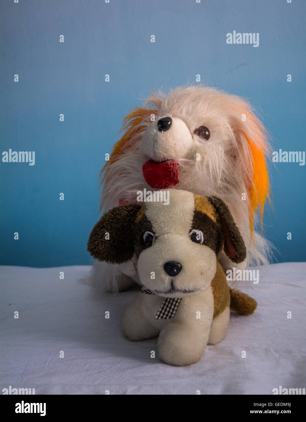 Two stuffed dogs together Stock Photo - Alamy