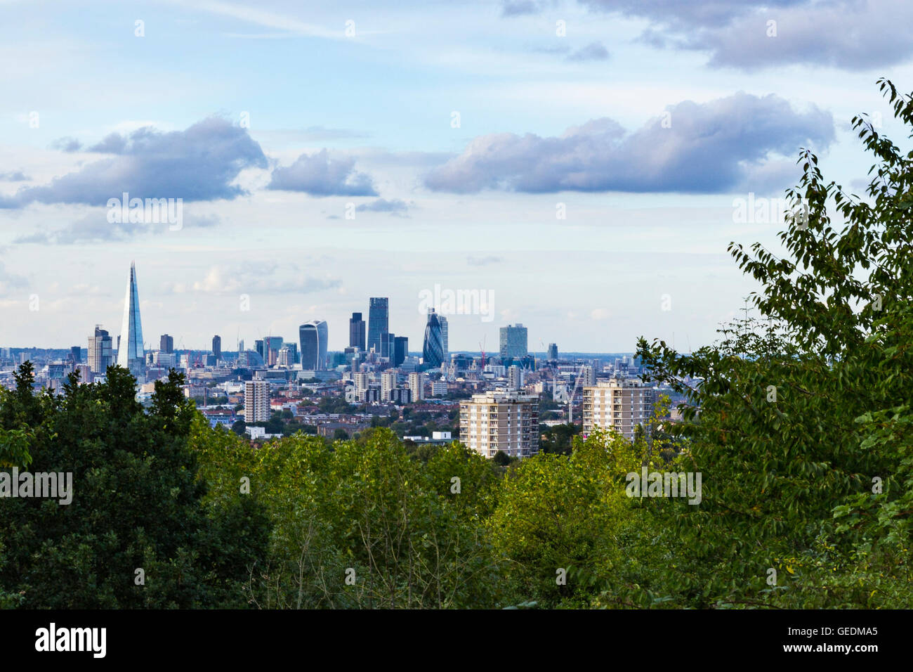View of the City of London from One Tree Hill, Honor Oak Park, London ...